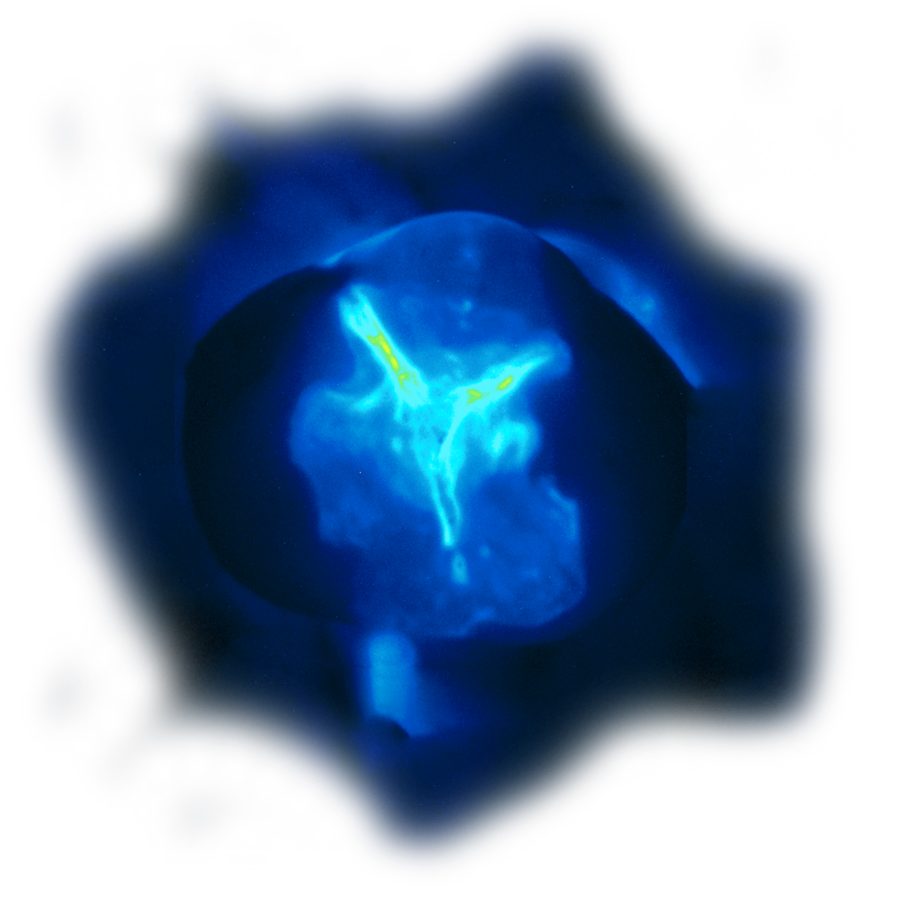 Technology - CALCIVIS®