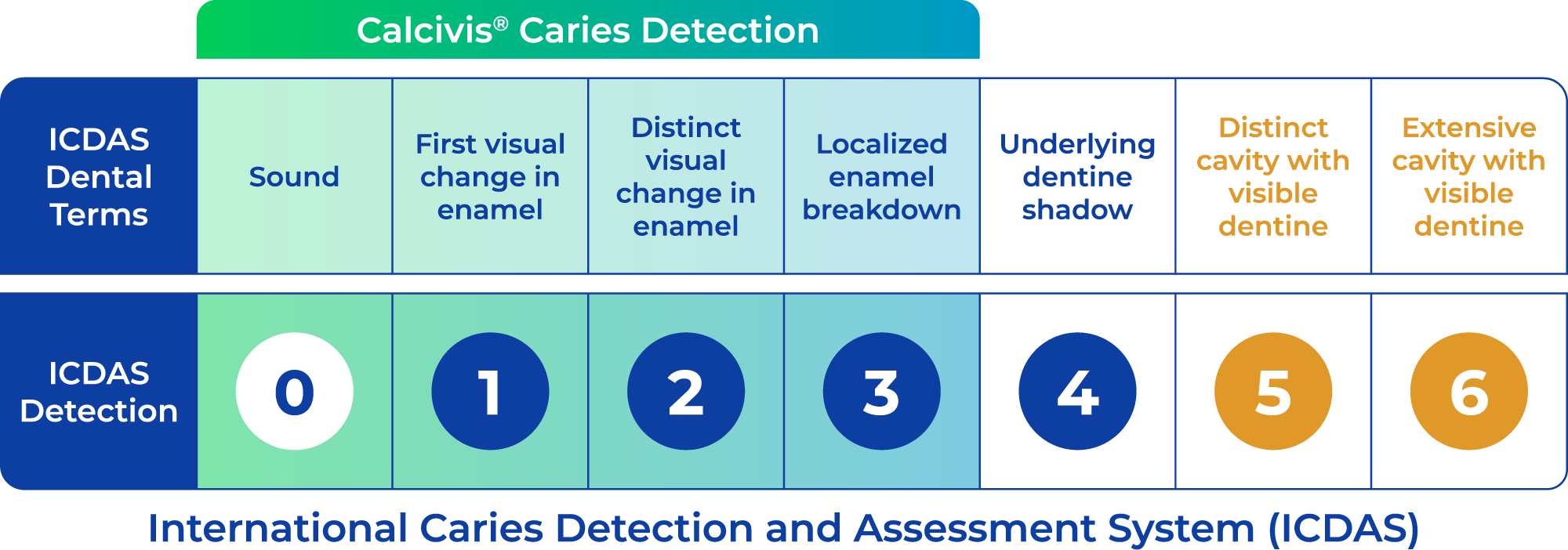 Prevention. Illuminated. - CALCIVIS®