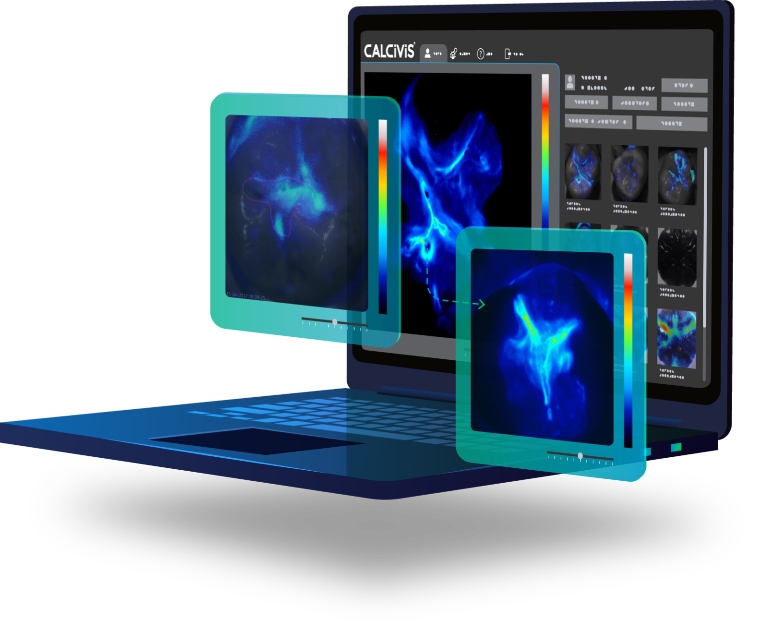 Downloads - CALCIVIS®