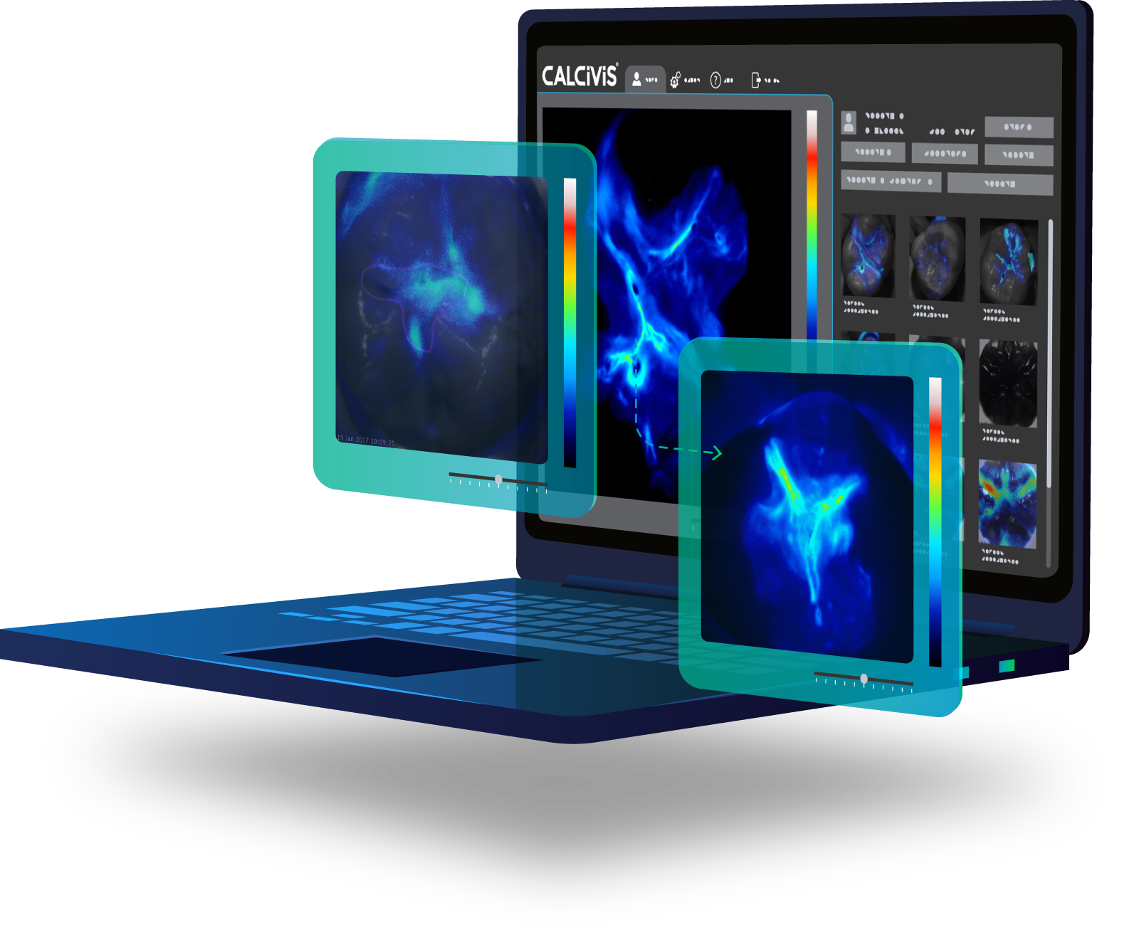 Downloads - CALCIVIS®