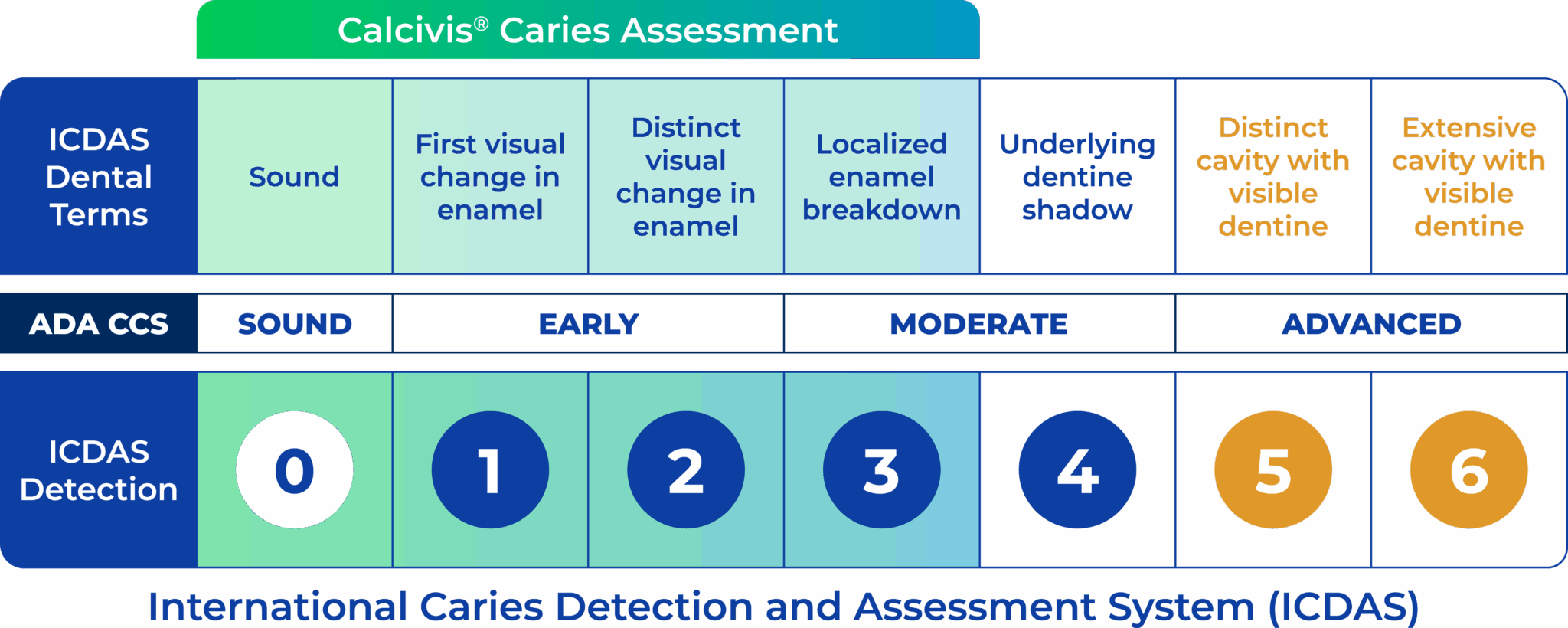 Prevention. Illuminated. - CALCIVIS®