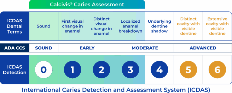 Prevention. Illuminated. - CALCIVIS®